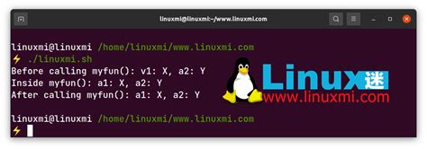 bash 初学者系列 1：在 bash 中使用函数 linux迷