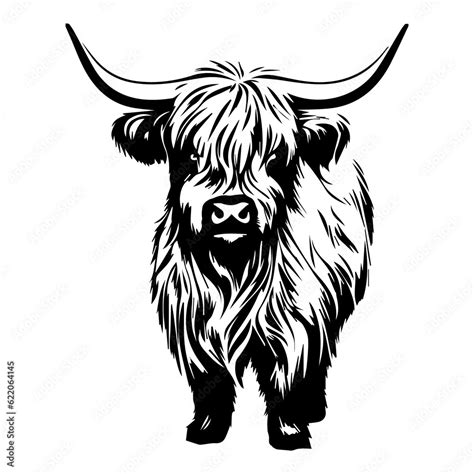 Highland Cow Svg Highland Cow Png Cow Head Svg Cow Svg Cute Cow Svg
