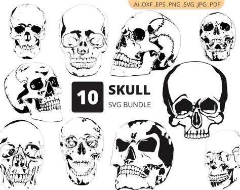 Skull Svg Bundle With 10 Skulls In Different Styles And Sizes