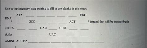 Solved Use Complimentary Base Pairing To Fill In The Blanks Chegg