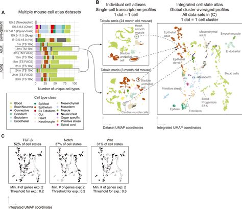 combinatorial expression motifs in signaling pathways cell genomics