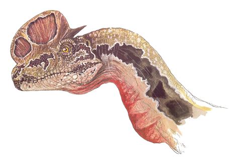 Dinosaur Sketch Dinosaur Drawing Dinosaur Art Jurassic Park Trilogy Jurassic Park World