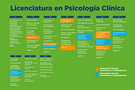 Qu Materias Se Ven En Psicolog A Vida Emocional