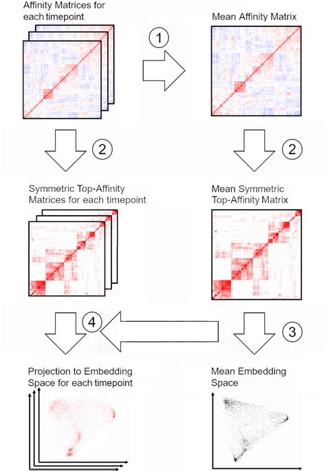 schematic description of the procedure to map affinity matrices to a download scientific
