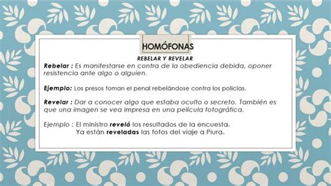 Camila Campos Paredes Palabras Homófonas
