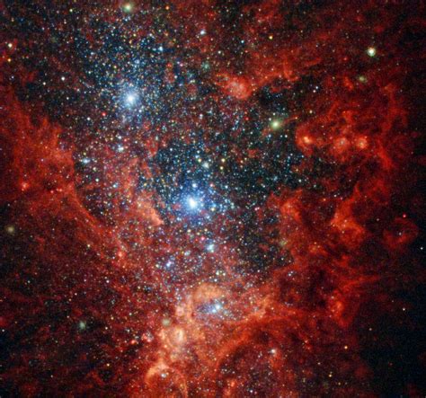 Hubble Captures Starburst Galaxy Ngc S Brilliant Core That Spans