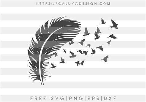 Feather With Birds Clipart Feather And Birds SVG Feather And Birds