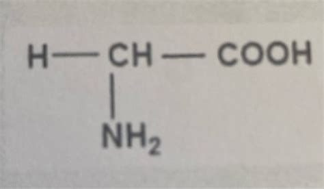 Cartes Biochimie Acides Amin Quizlet