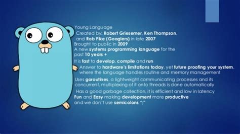 Golang Web Development Company Hire Top Golang Developers