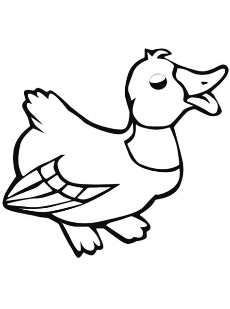 Papera Da Colorare 49 Disegni Da Colorare