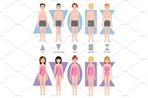 Vector Illustration Of Different Body Shape Types Body Type Drawing