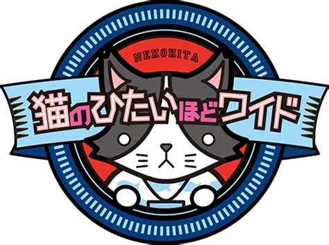火24 1 30放送猫ひたアーカイブ 猫のひたいほどワイドtvk デジタル3ch テレビ神奈川