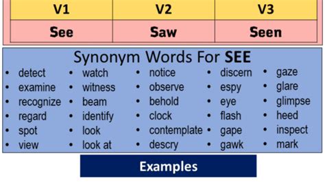 See Past Simple Simple Past Tense Of See Past Participle 53 OFF
