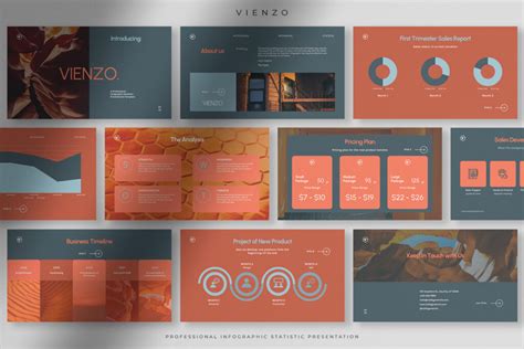 Vienzo Professional Infographic Statistic Presentation Template