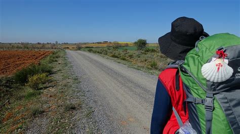 El Camino De Santiago A Pie Inwamanual