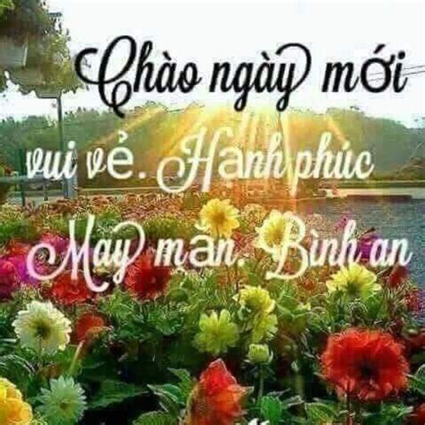 Ghim của Hoa Phượngđỏ Yang trên good morning Ảnh vui Hình ảnh Thiệp