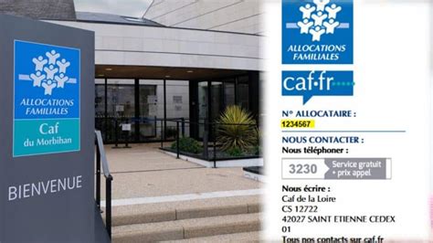 Numéro allocataire CAF perdu Voici comment le retrouver en quelques