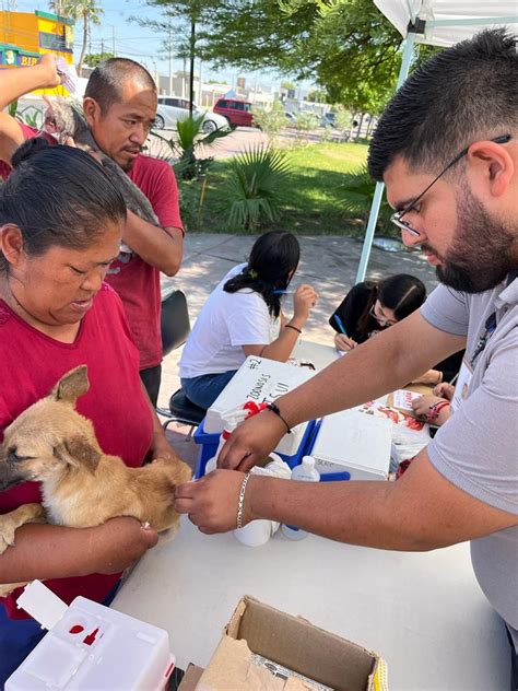 Salud Sonora on Twitter Continúan las acciones de la Jornada