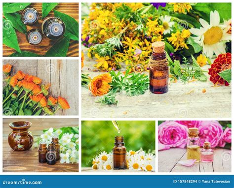 Collage De Diferentes ImÃgenes De Extractos De Hierbas HomeopatÃa