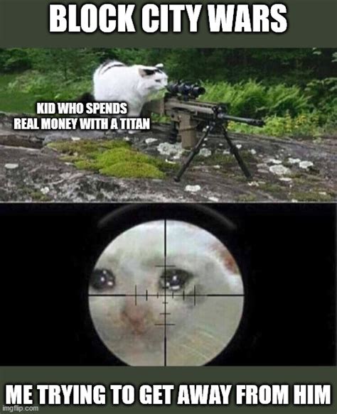 Sniper Cat Imgflip
