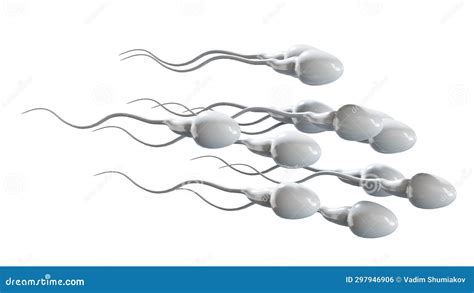 Male Sperm Cells Floating To Ovule In Fallopian Tube 3d Render Stock Illustration