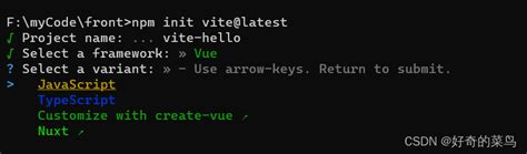 使用npm构建vite vue ts项目的两种方式 npm 安装vite ts csdn博客