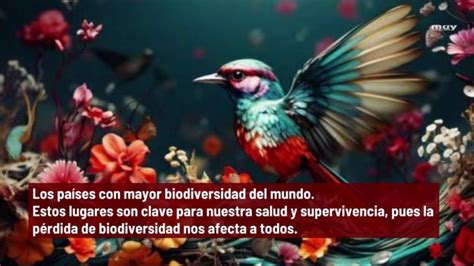 Los países con mayor biodiversidad del mundo