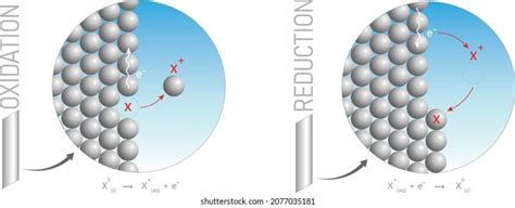 Redox Reduction Vs Oxidation Close Stock Vector Royalty Free