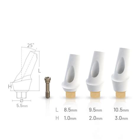 25 Angled Zircocam Anatomic Zirconia Abutment Fitting With Cortex