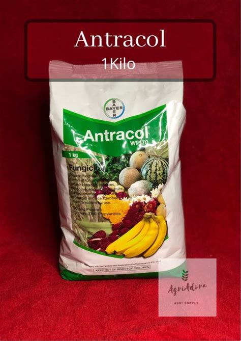 Antracol Wp Kilo Fungicide Bayer Lazada Ph