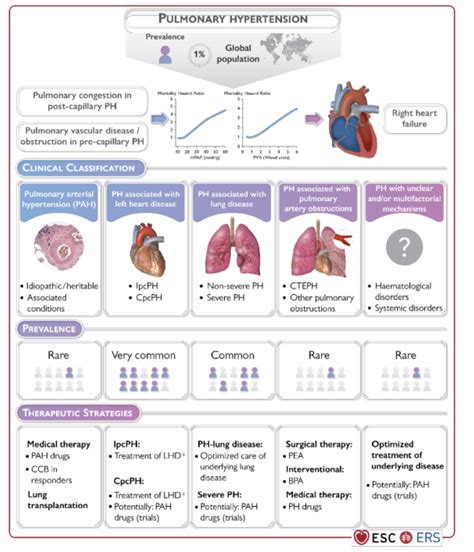 About PH PULMONARY HYPERTENSION