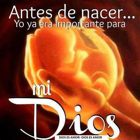 Salmos 139 13 14 Porque tú formaste mis entrañas Tú me hiciste en el