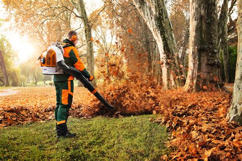 Souffleur à dos thermique BR 700 STIHL