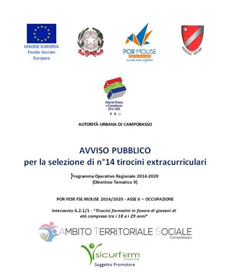 AVVISO PUBBLICO Per La Selezione Di 14 Tirocini ELENCO AMMESSI E