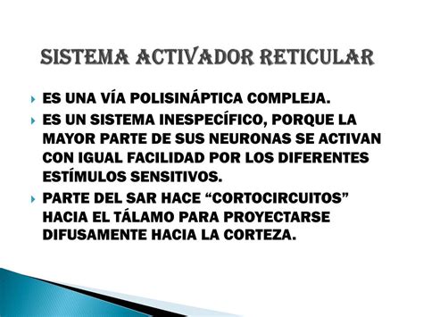 PPT ACTIVIDAD ELÉCTRICA DEL CEREBRO Y MECANISMO DE VIGILIA SUEÑO