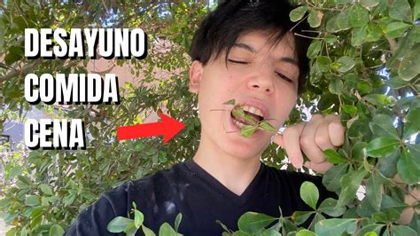 24 Horas Comiendo Como Vegano EXTREMO YouTube