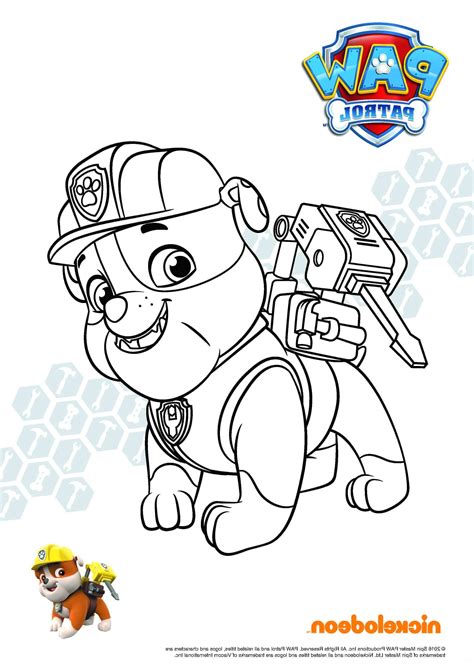Paw Patrol Sky Ausmalbilder Ausmalbilder Paw Patrol Ausmalbilder