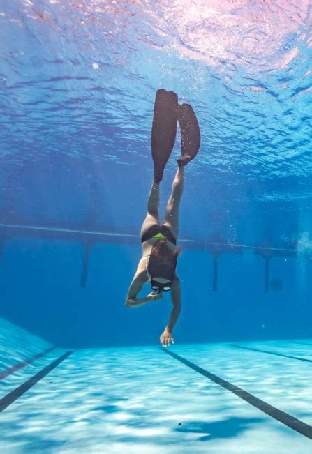 Freediving Course Level Gold Coast The Pressure Project
