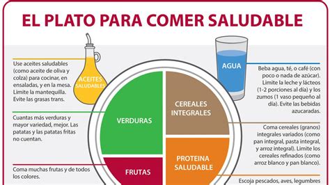 El Metodo Del Plato Divide El Plato En Cuatro Partes Con Estas
