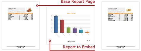 Use Data Driven Page Sequence DevExpress End User Documentation