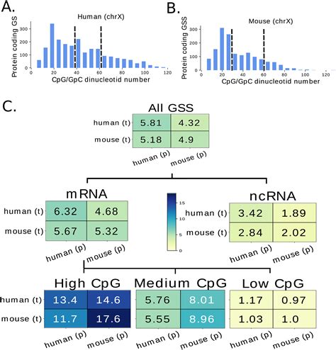genome annotation across species using deep convolutional neural networks [peerj]