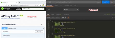 using api key authentication to secure asp core web api jayant tripathy