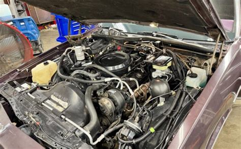 Stock Survivor 1988 Chevrolet Caprice Classic Barn Finds