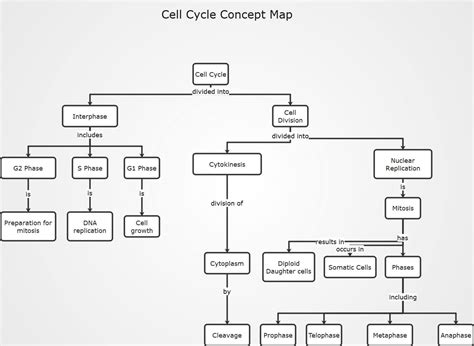 Free Concept Map Templates You Can Use Now Edraw
