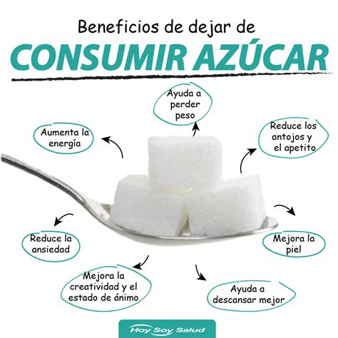 6 Endulzantes Naturales Para Sustituir el Azúcar Refinada Revista Digital