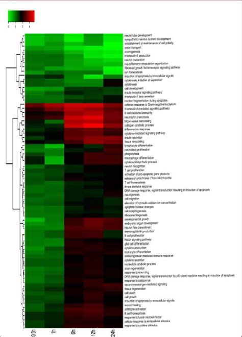 hierarchical cluster analysis showing partition clustering of genes download scientific diagram