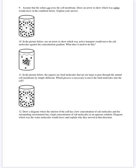Solved Activity Cell Membranes Diffusion And Osmosis Chegg