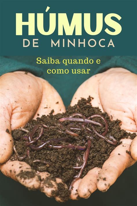 Húmus de minhoca use em suas plantas Elas agradecem Minhoca Adubo
