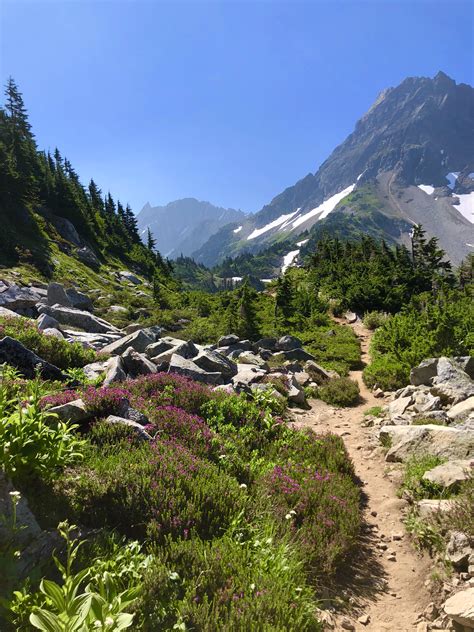 North Cascades National Park Cascade Pass Sahale Arm Grey Otter