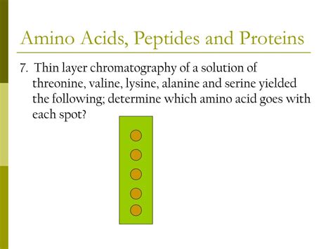 PPT Amino Acids Peptides And Proteins PowerPoint Presentation Free